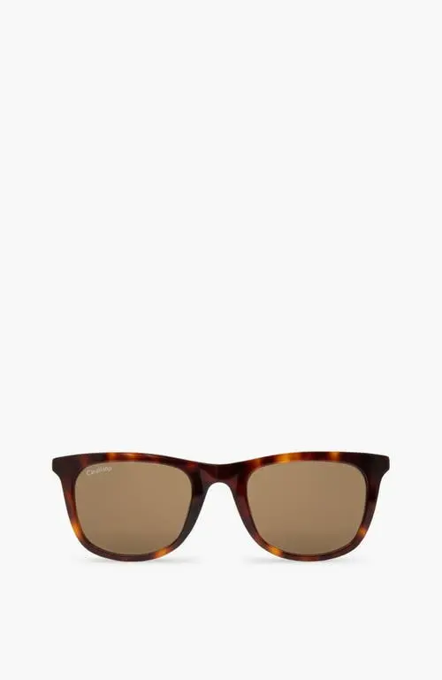 CAVALINHO Old Town Tortoiseshell Sunglasses