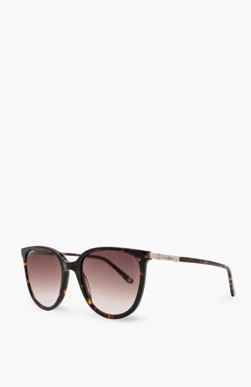 CAVALINHO Cosmopolis Sunglasses