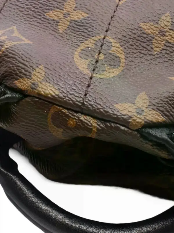 LOUIS VUITTON Palm Springs Monogram Backpack Pm - Brown