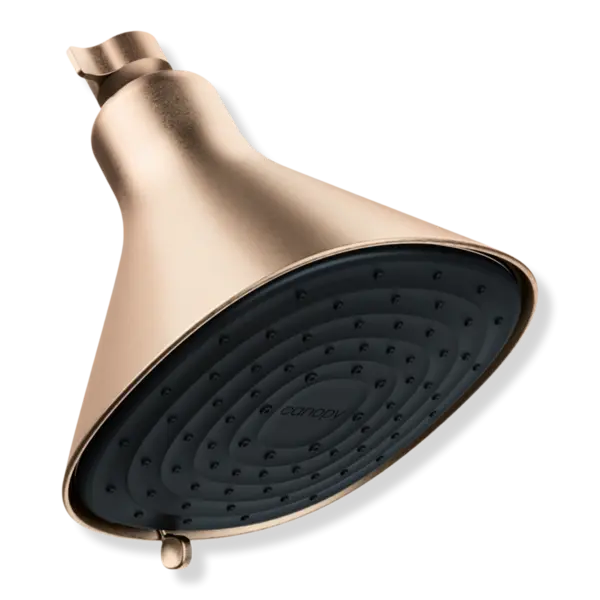 CANOPY Filtered Showerhead - Brushed Brass