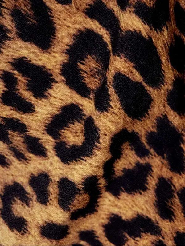 Melissa Odabash Prague Leopard-print Bikini Briefs