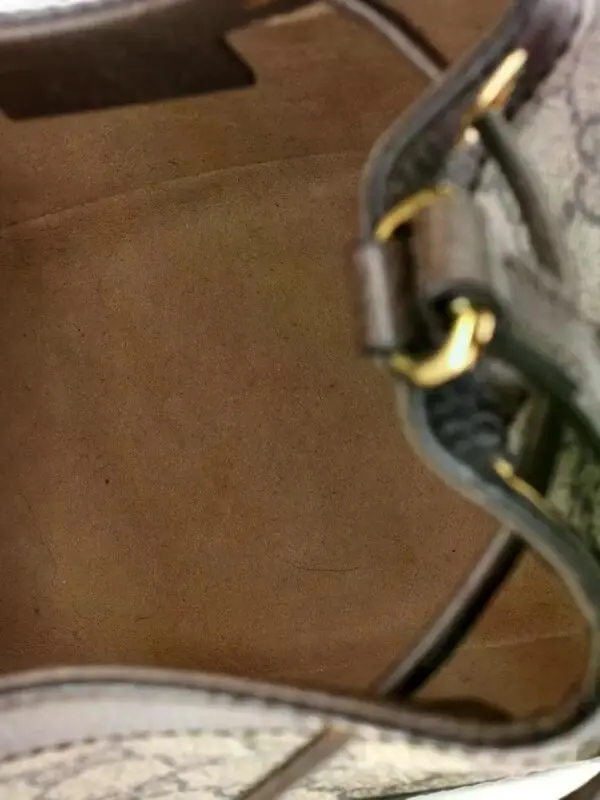 Gucci Ophidia Gg Coated Canvas Mini Bucket Bag