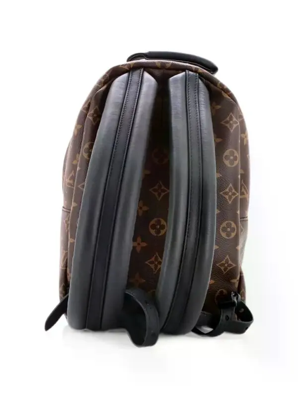 LOUIS VUITTON Palm Springs Monogram Canvas Pm Backpack