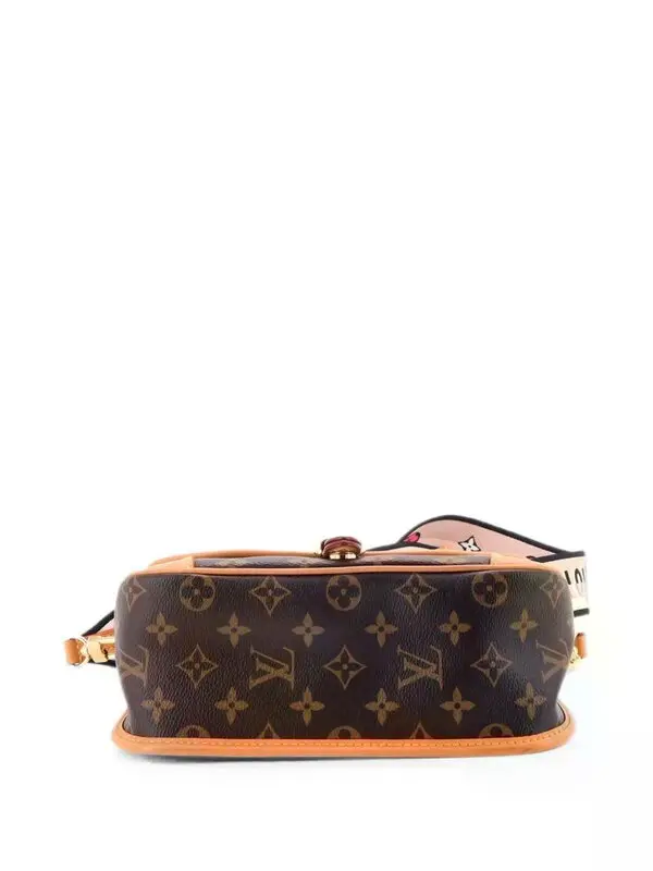 LOUIS VUITTON Diane Nm Handbag Monogram Canvas Crossbody Bag