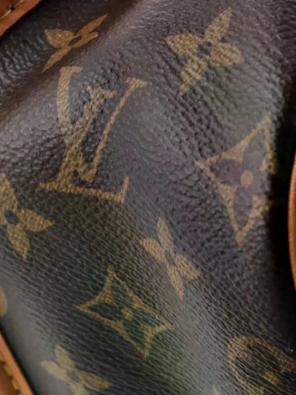 LOUIS VUITTON Diane Nm Handbag Monogram Canvas Crossbody Bag