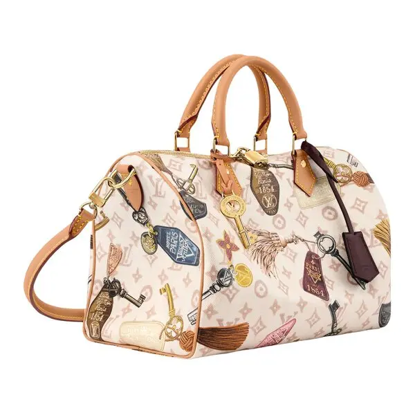 LOUIS VUITTON Speedy 30 Soft
