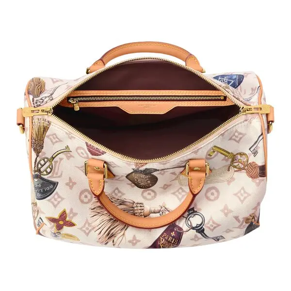 LOUIS VUITTON Speedy 30 Soft