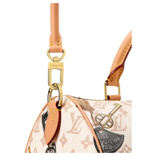 LOUIS VUITTON Speedy 30 Soft