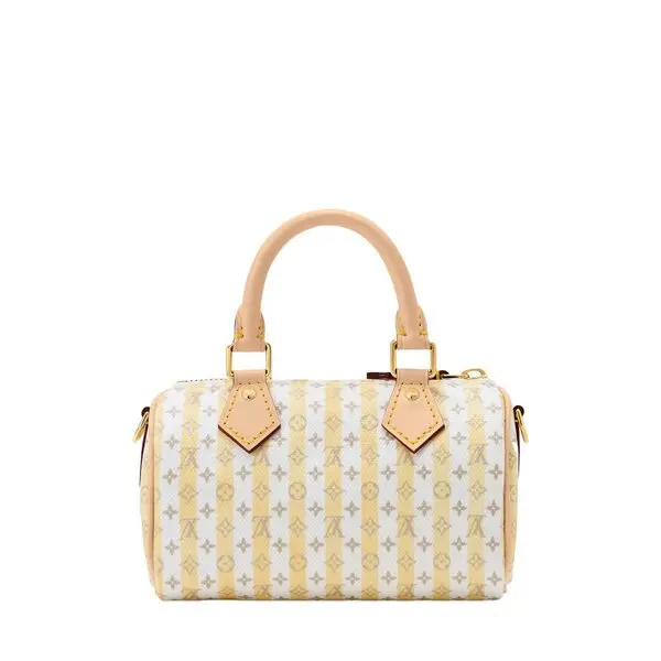 LOUIS VUITTON Nano Speedy Top Handle Bag