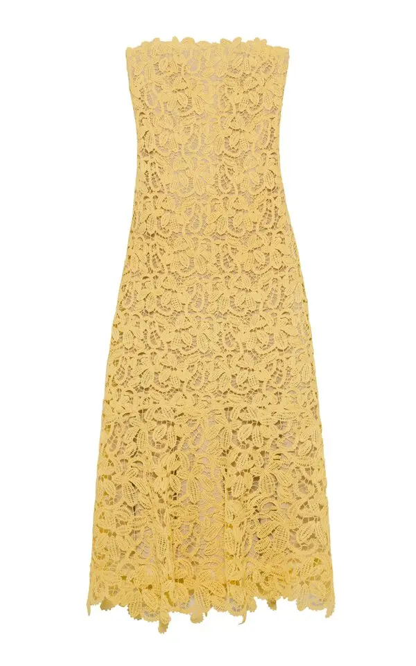Simkhai Sera Floral Raffia Bustier Midi Dress