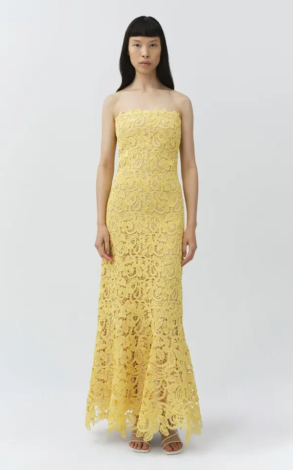 Simkhai Sera Floral Raffia Bustier Midi Dress