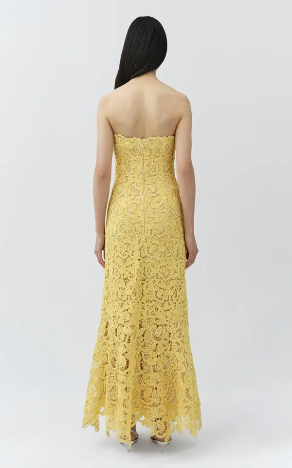 Simkhai Sera Floral Raffia Bustier Midi Dress