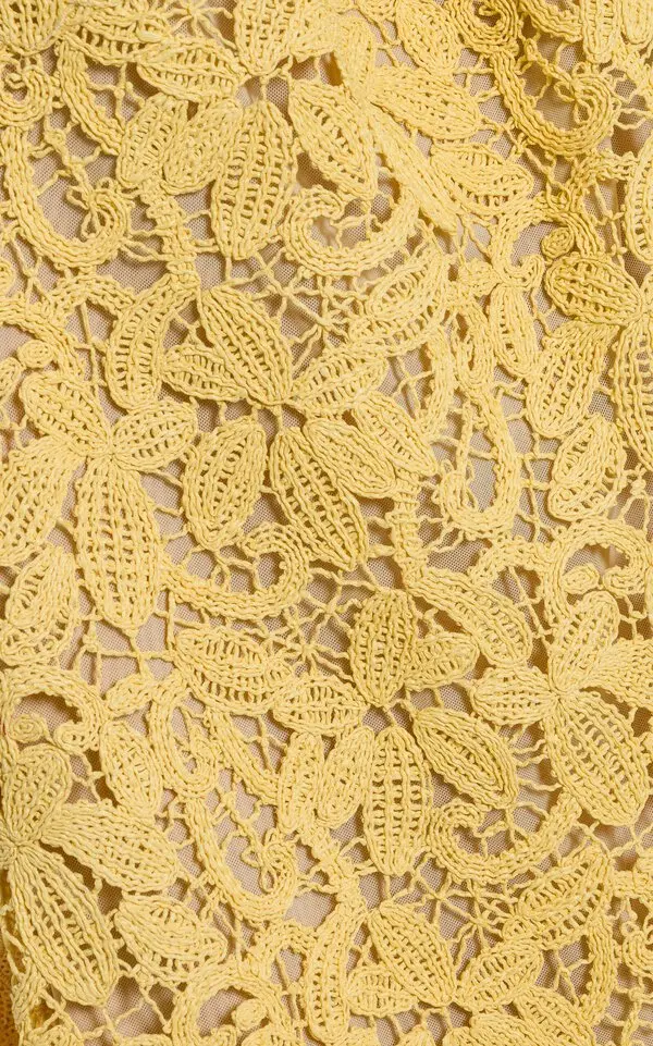 Simkhai Sera Floral Raffia Bustier Midi Dress