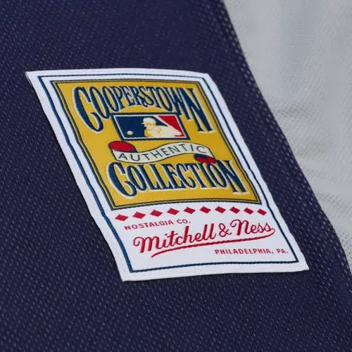 Mitchell & Ness Cc Sabathia 2009 New York Yankees Authentic Batting Practice Jersey