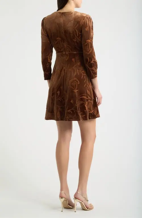Eliza J Long Sleeve Embroidered Velvet Dress