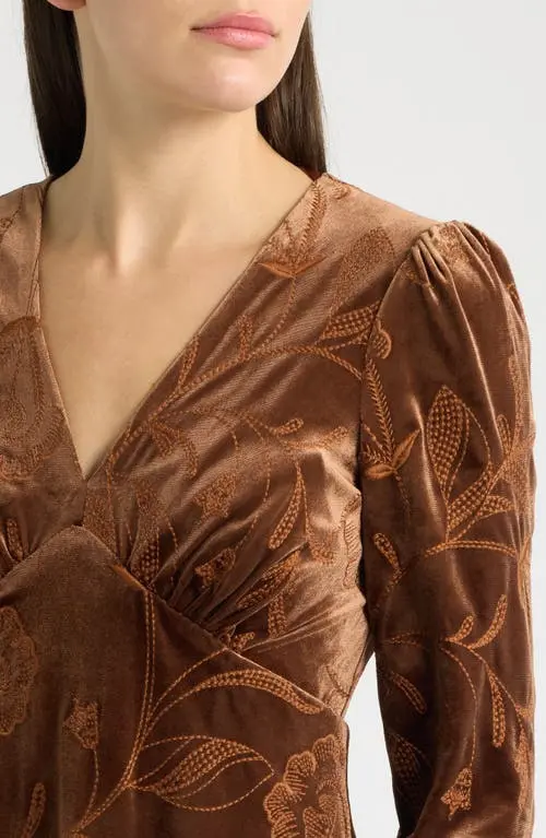Eliza J Long Sleeve Embroidered Velvet Dress