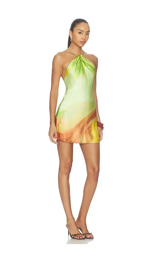 Retrofete Hilary Halterneck Mini Dress
