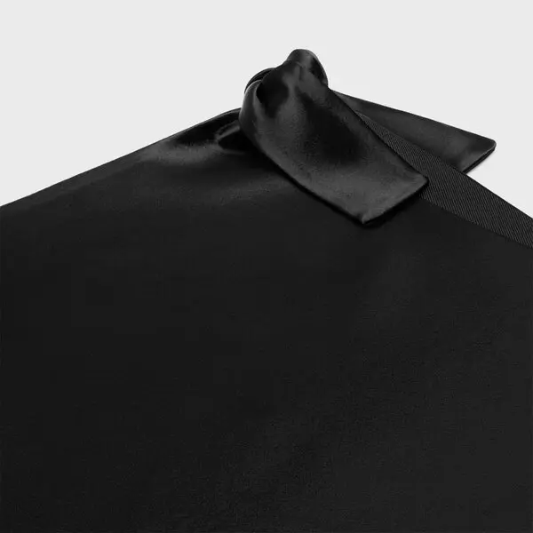 Celine Mini Dress In Viscose Satin