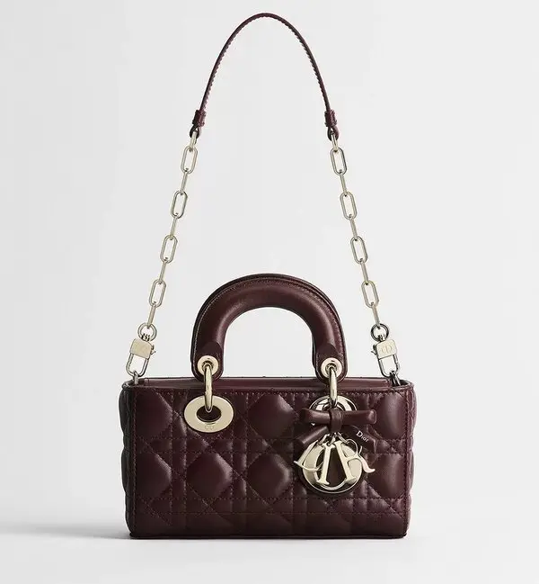 Dior Mini D-joy Crossbody Bag