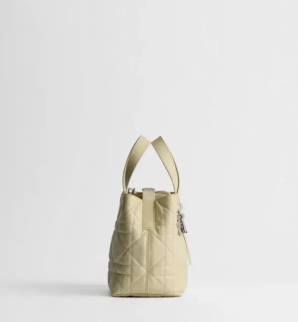 Dior Small Toujours Vertical Tote Bag