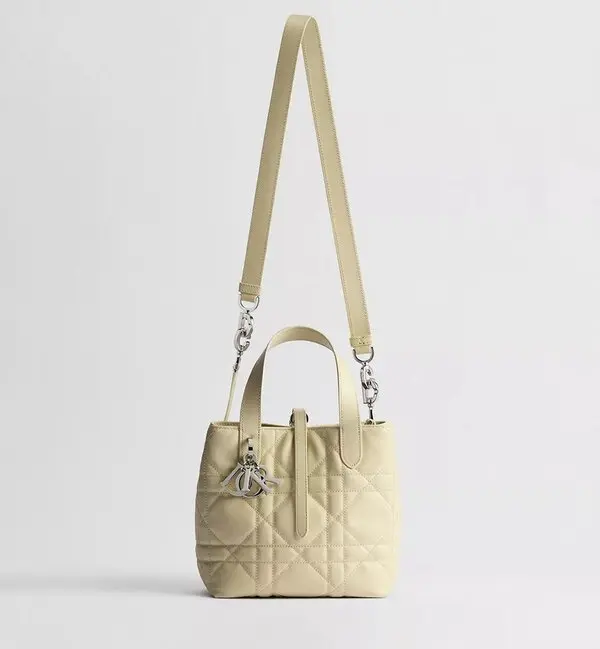 Dior Small Toujours Vertical Tote Bag