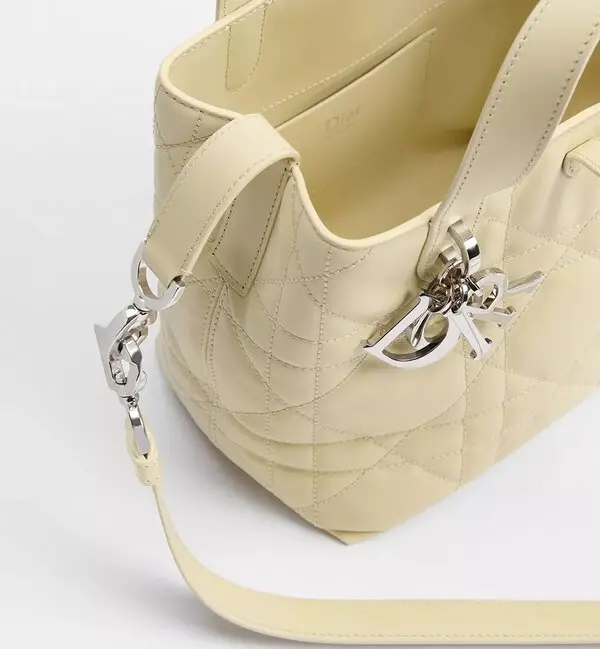 Dior Small Toujours Vertical Tote Bag