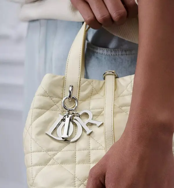 Dior Small Toujours Vertical Tote Bag