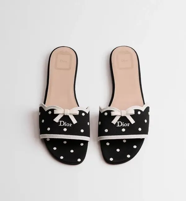 Dior Dway Slide
