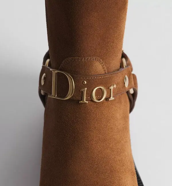 Dior Bolt Ankle Boots With Gold-finish Signature