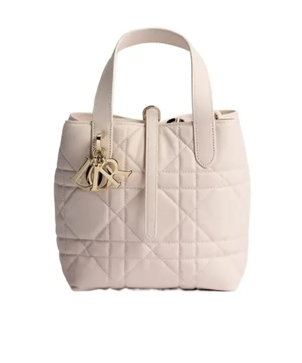 Dior Small Toujours Vertical Tote Bag - No