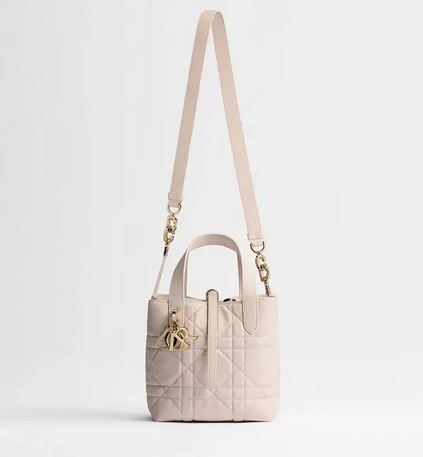 Dior Small Toujours Vertical Tote Bag