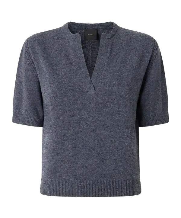 Pinko Short-sleeve V-neck Sweater