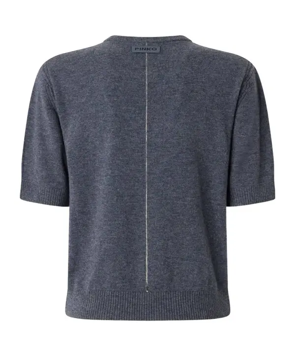 Pinko Short-sleeve V-neck Sweater