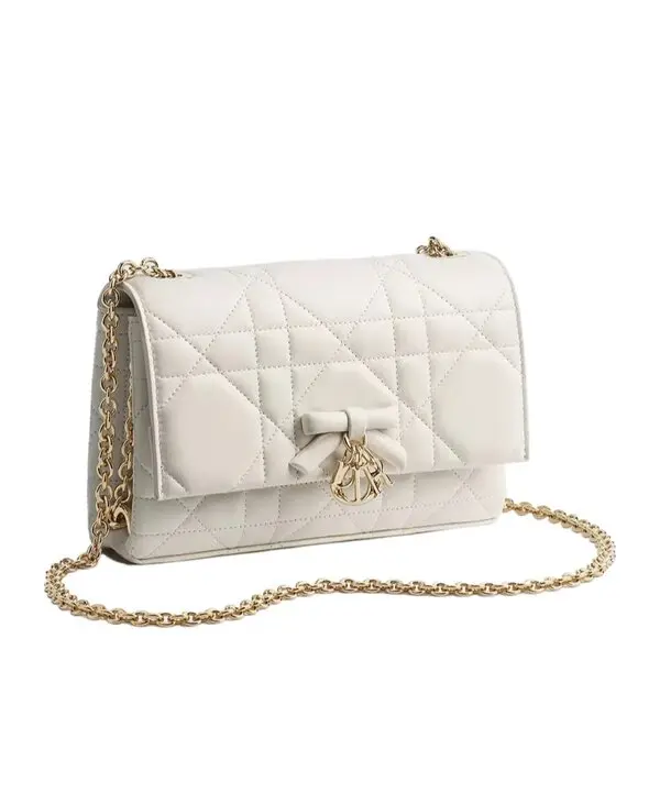 Dior Mini Chain Shoulder Bag