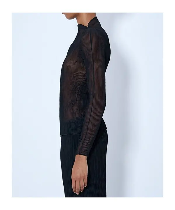 Issey Miyake Sheer Pleated Top