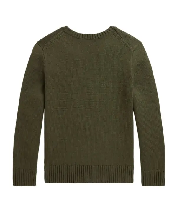 Polo Ralph Lauren Polo Bear Intarsia Knit Sweater