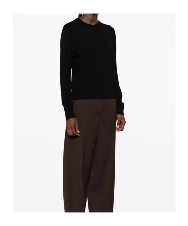 Pinko Lourdes Crew-neck Sweater