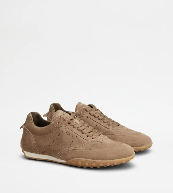 TOD'S Sneakers In Suede
