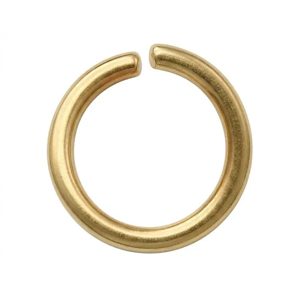 Zahav Jewelry 10k Yellow Nose Hoop