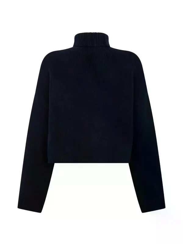 LISA YANG Ribbed-knit Roll-neck Sweater