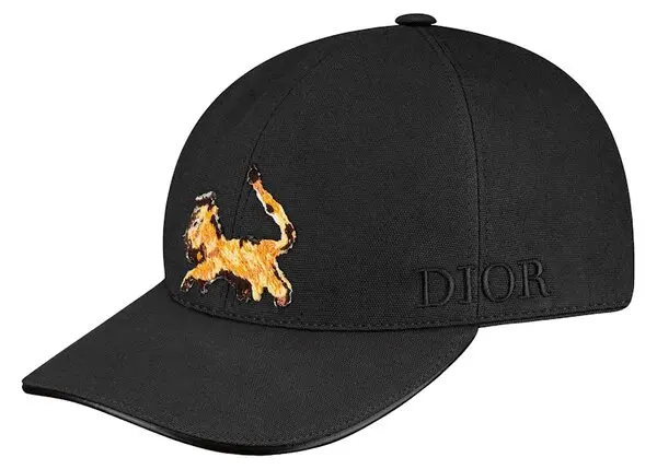 Dior X Peter Doig Baseball Cap - Black
