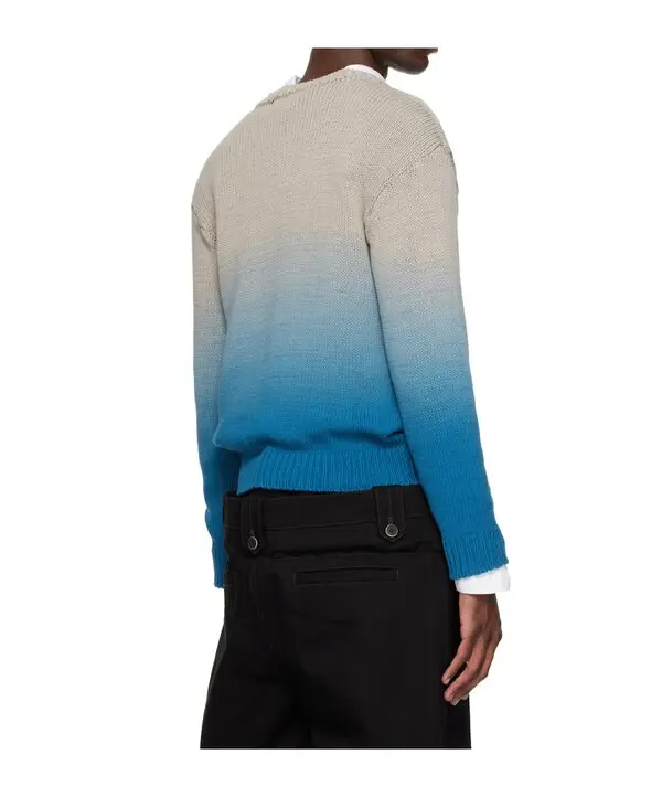 Andersson Bell Gradient Henley Collar Sweater