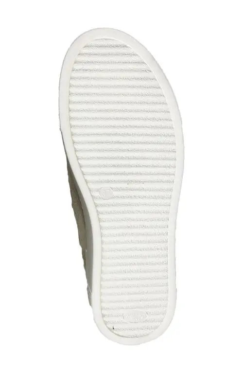 DAVID TATE Perla Sneaker - Stone Suede