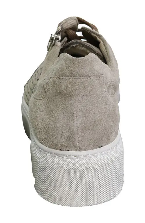 DAVID TATE Perla Sneaker - Stone Suede