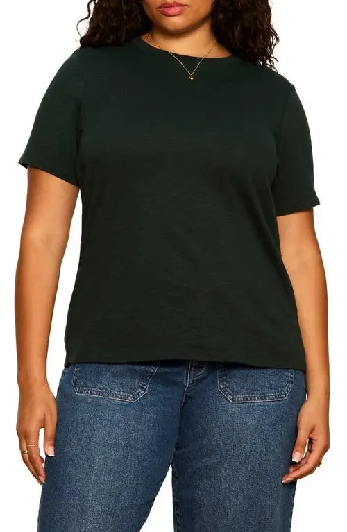 Sanctuary Icon Cotton T-shirt
