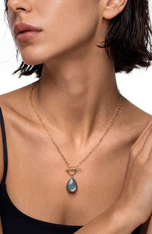 ST. MORAN Labradorite Toggle Necklace