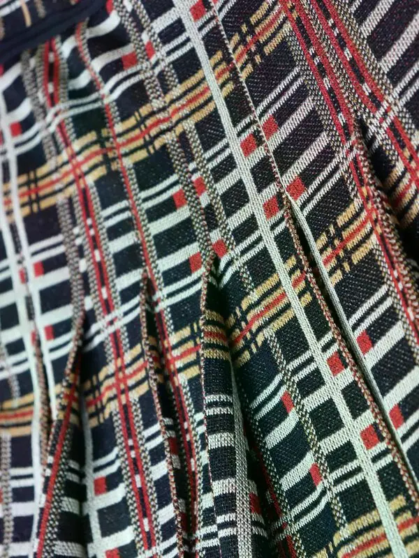 Bottega Veneta Pleated Skirt