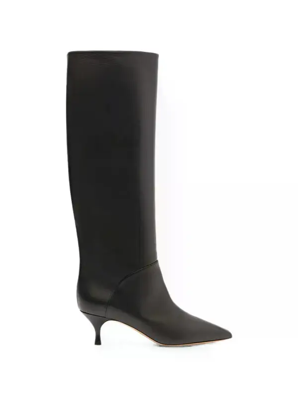 Casadei Julia Plonge Pointed-toe Knee-high Boots