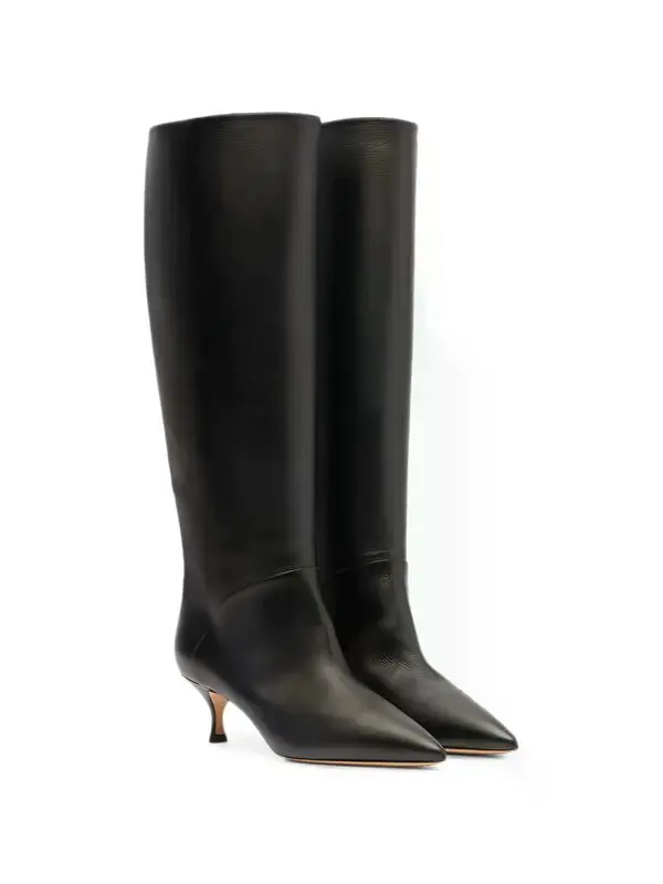 Casadei Julia Plonge Pointed-toe Knee-high Boots