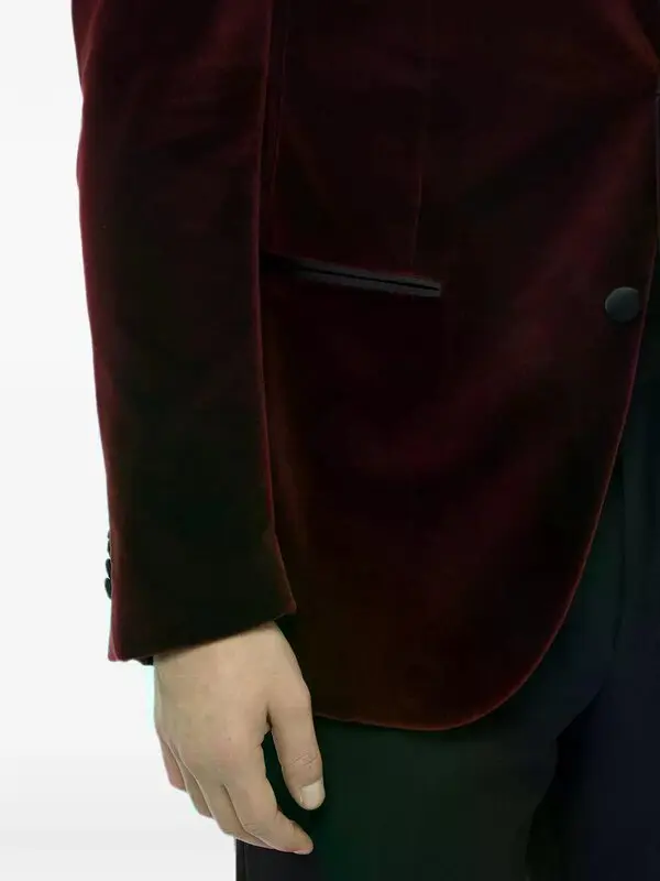 Corneliani Velour Single-breasted Blazer